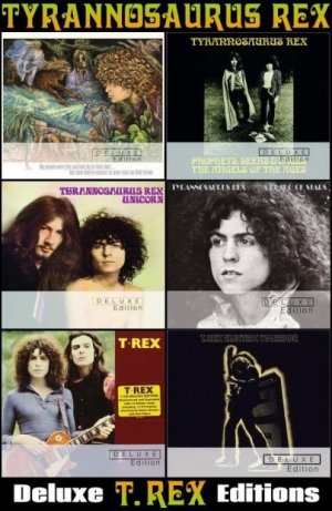 Tyrannosaurus Rex, T.Rex - Albums Collection 1968-1971 (6 X 2CD Deluxe ...
