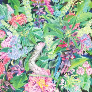 Catherine Ribeiro + Alpes - N°2 (1970) 24-Bit on HD24Bit.com