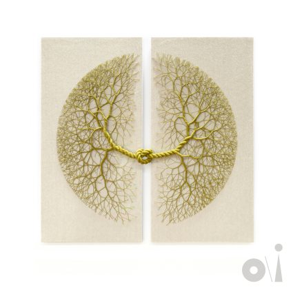 Peter Dixon on HD24Bit.com